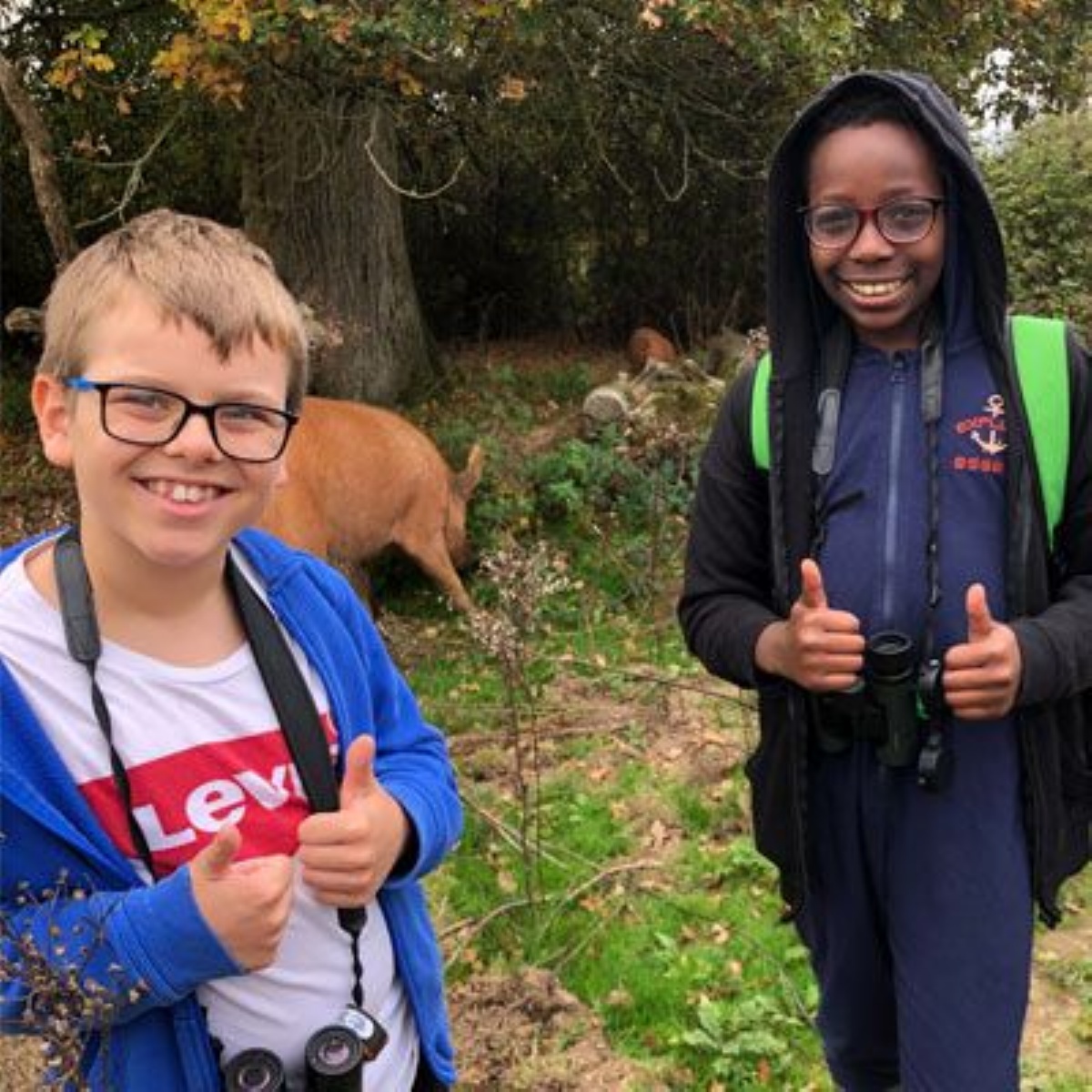 Peacehaven Community School - Knepp Rewilding Visit